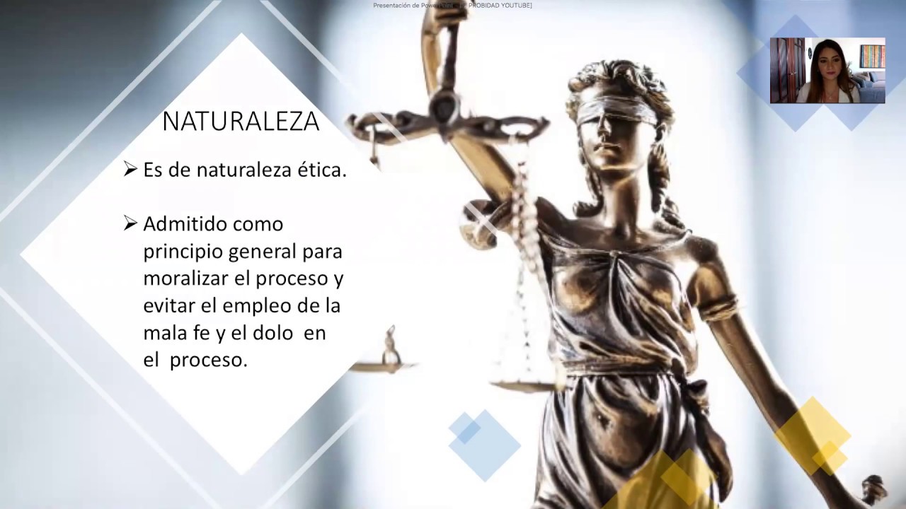 PRINCIPIO DE PROBIDAD - YouTube