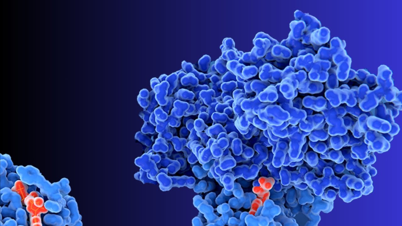 Target validation | Target validation in drug discovery | CRO Service ...