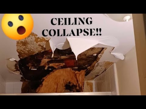 My Bathroom Ceiling Collapsed Last Night!! #ceiling #collapse - YouTube