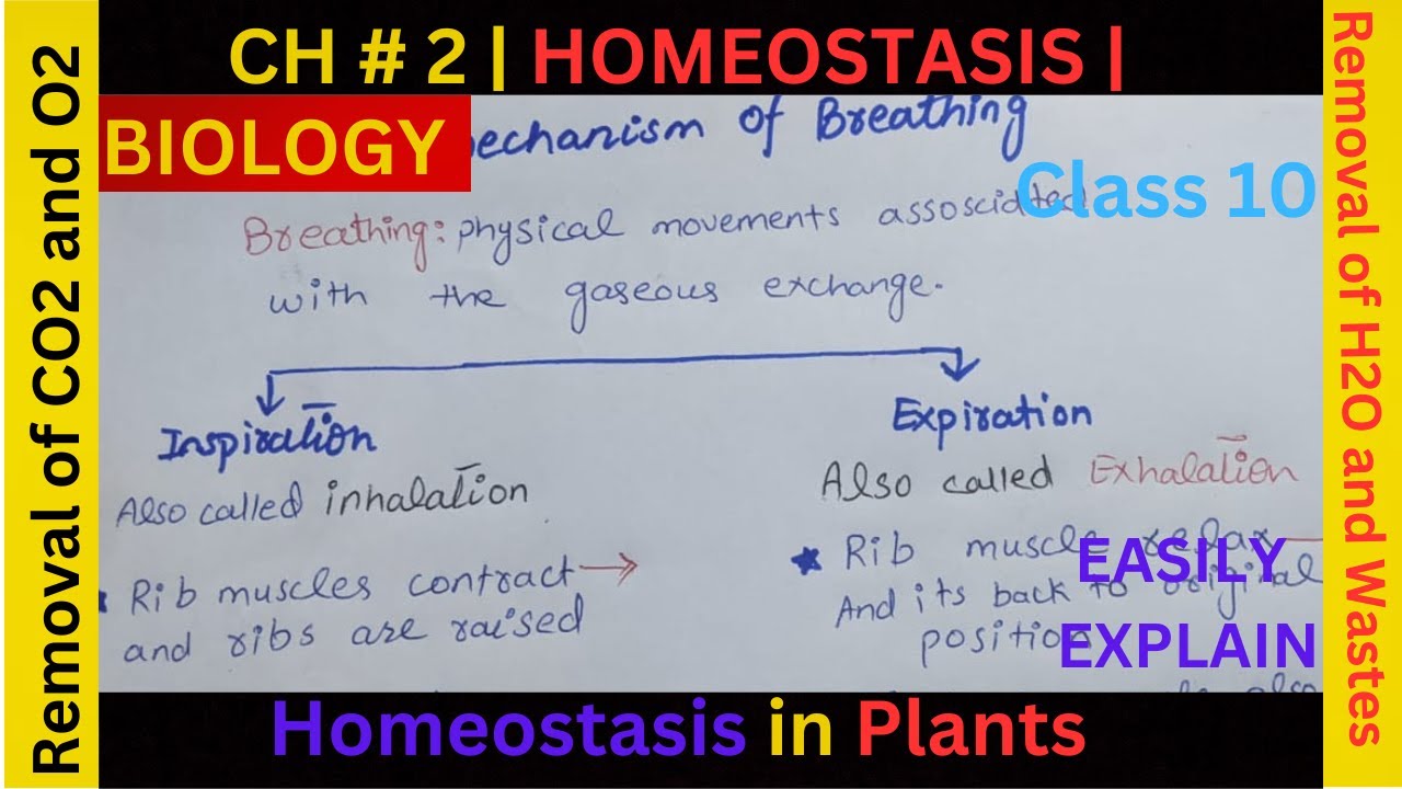 Biology Class 10 | CH # 2 | HOMEOSTASIS | Homeostasis in Plants ...