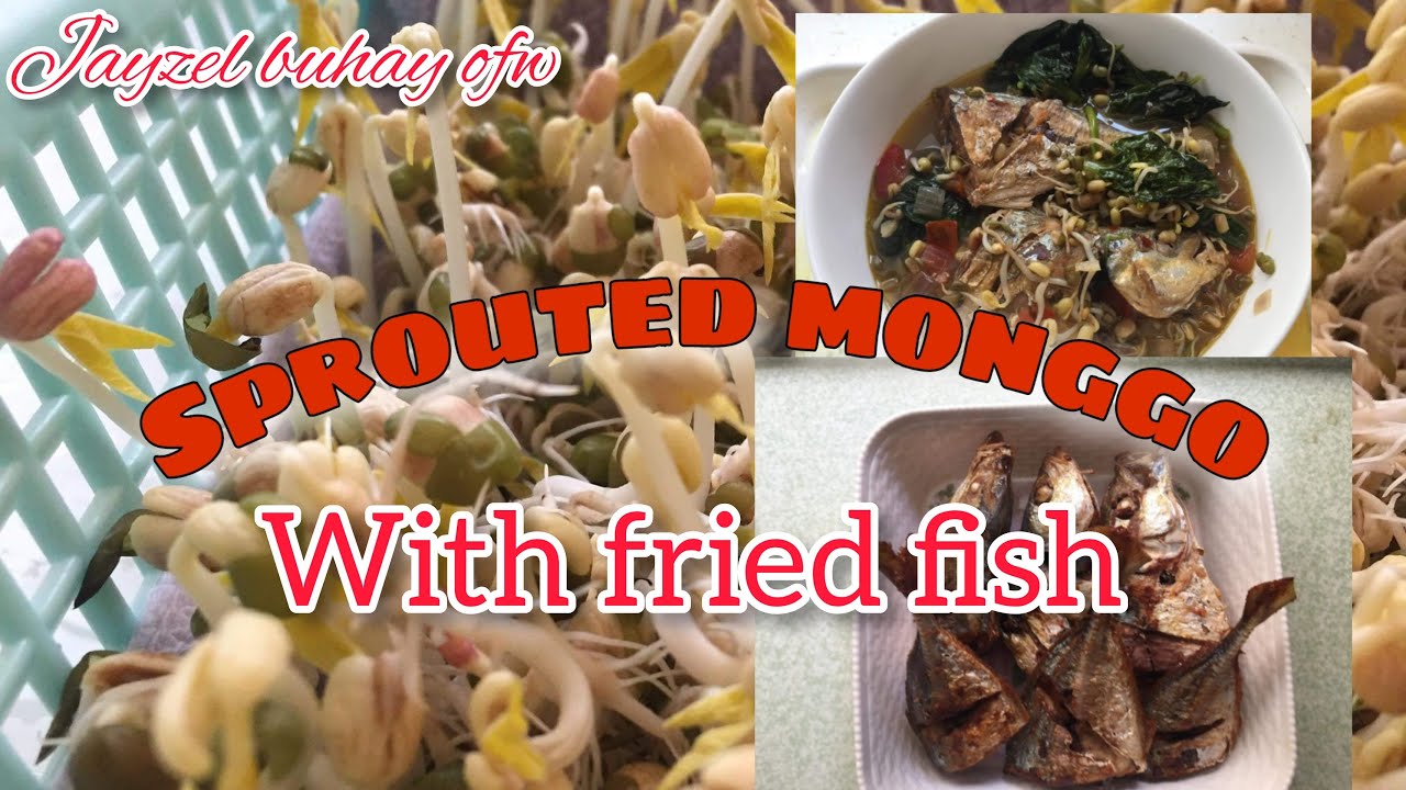 HOW TO MAKE SPROUTED MONGGO || SPROUTED MONGGO WITH FRIED FISH RECIPE ...