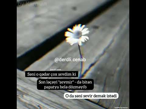 Papatyaya aid statuslar