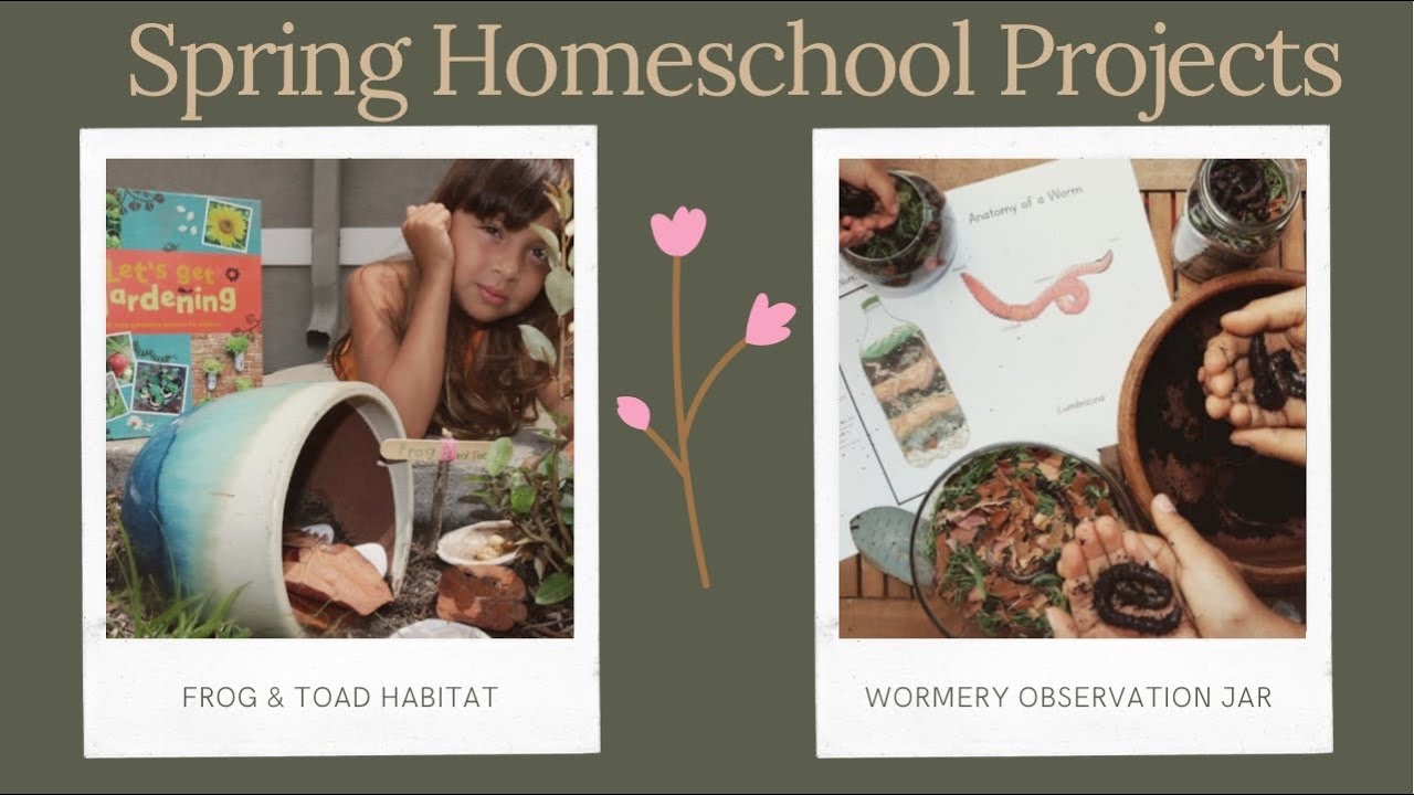 Homeschool Nature Study & Projects - YouTube