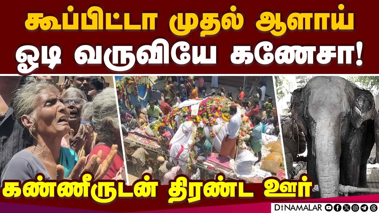 குன்றக்குடி கோயில் யானைக்கு பக்தர்கள் பிரியா விடை | Temple Elephant ...