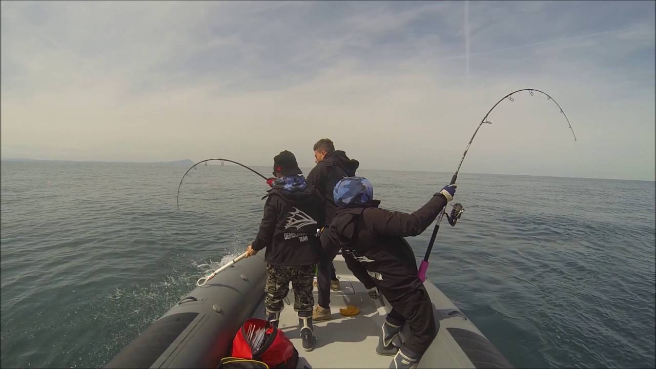 Spinning Tuna - Ordinaria Amministrazione sul Focchi 730 - YouTube