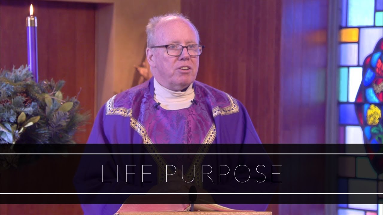 Life Purpose | Homily: Father Timothy Kearney - YouTube