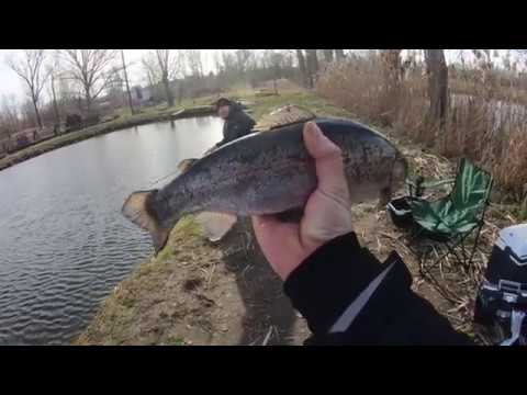 Binnenfischerei Weißenfels, Forellenpuff | Angeln in Weißenfels ...