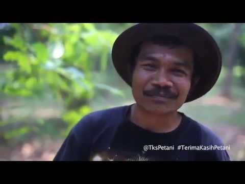 Masril Koto - YouTube