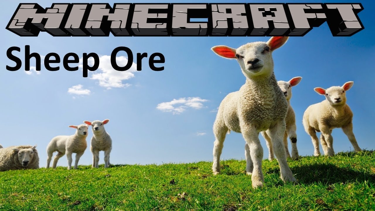 SHEEP ORE MOD - MINECRAFT 1.12.2 (MOD SHOWCASE) - YouTube