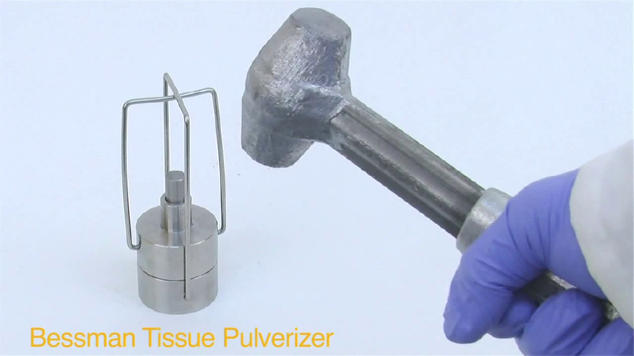 The Bessman Tissue Pulverizer ( 細胞破裂裝置 ) - YouTube