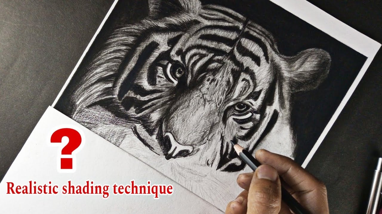 How to draw realistic tiger drawing | tutorial video| how to draw ...