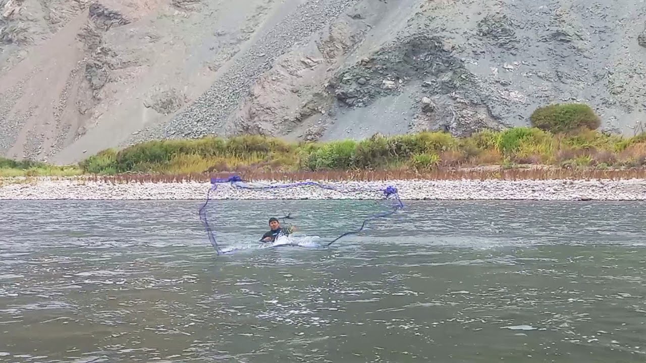 Mira!!.. Así LANZA la ATARRAYA al RÍO este HOMBRE y vea los PECES que ...