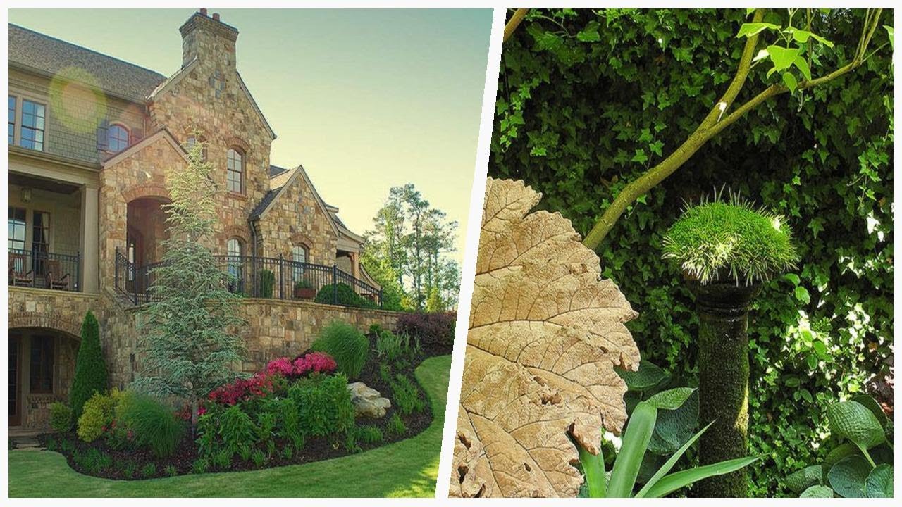 75 Traditional Yellow Landscaping Design Ideas You'll Love 😊 - YouTube