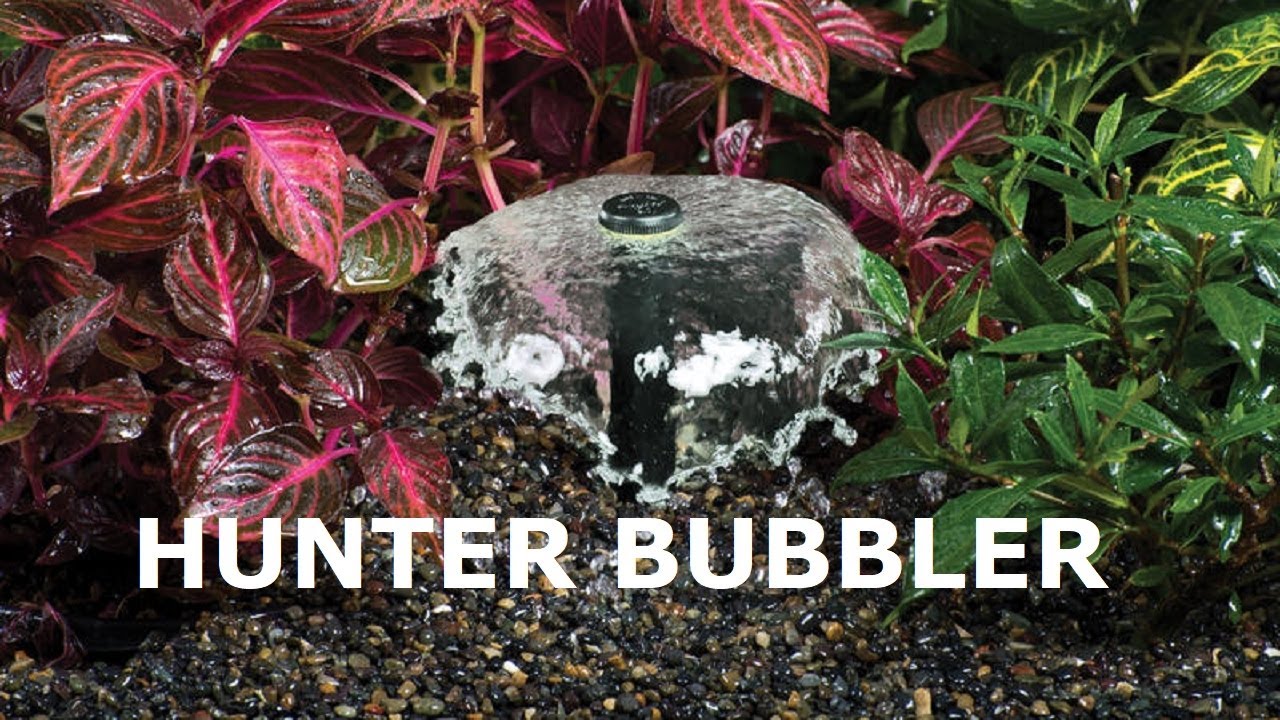 Hunter Bubbler Düsen für die Bewässerung - YouTube