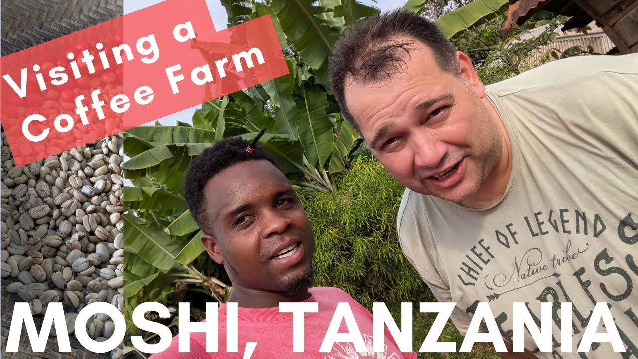 Visiting a Coffee Farm in Moshi, Tanzania - YouTube