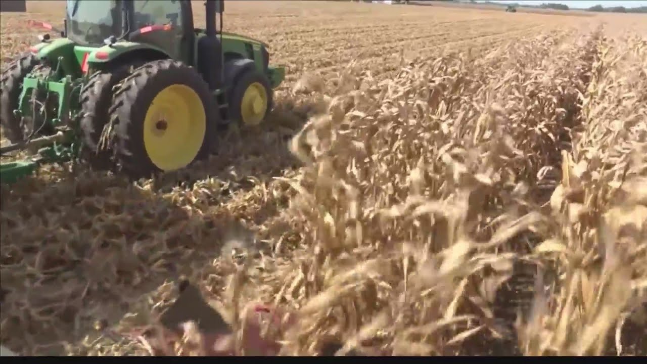 Number of farms decreasing in Illinois - YouTube
