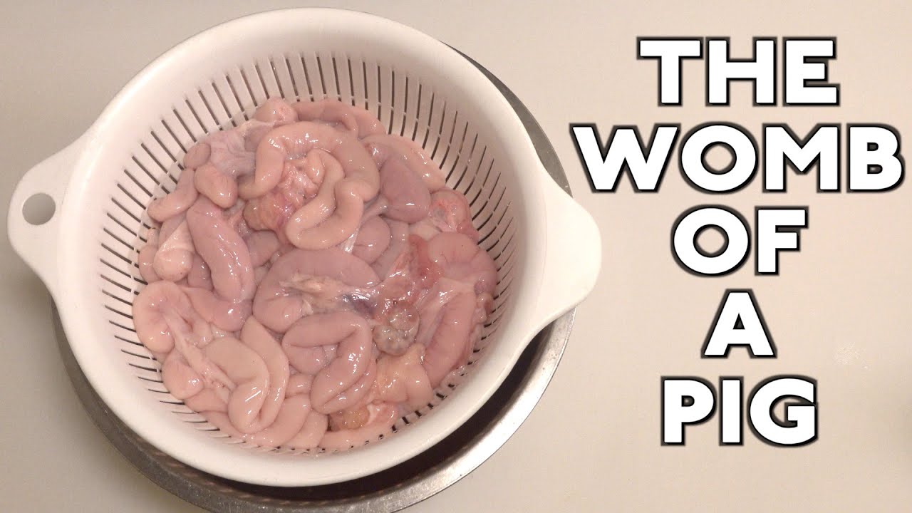 [Kobukuro (the womb of a pig] This crunchy texture is the best! - YouTube