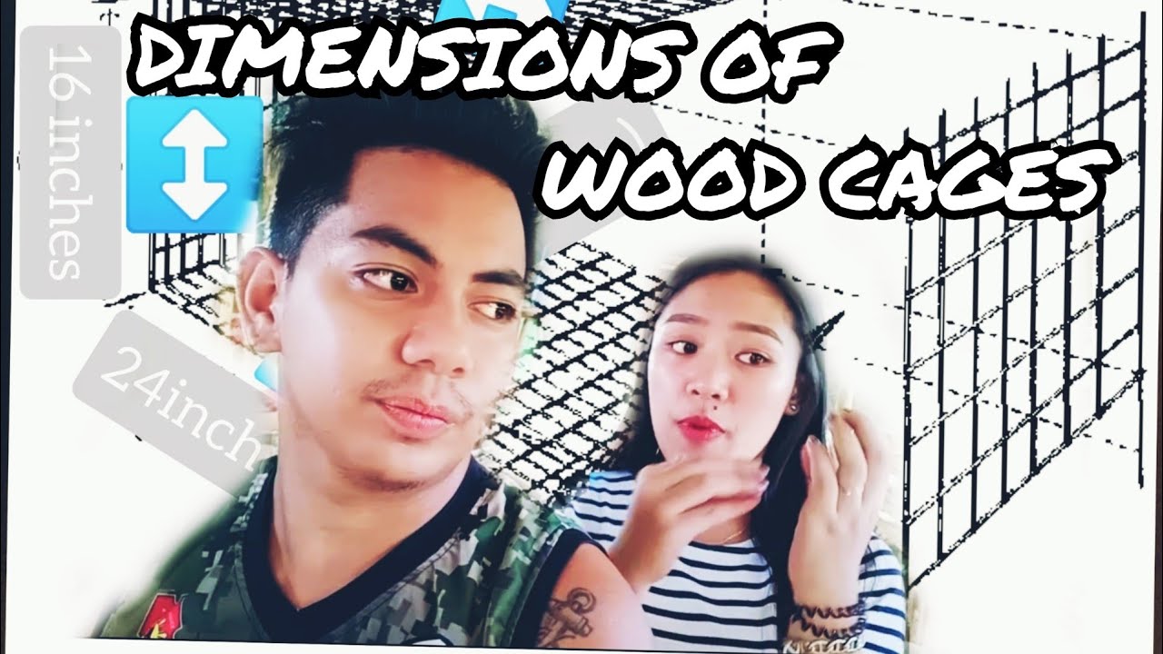 Cage Dimensions for RTL | poultry layer cage - YouTube