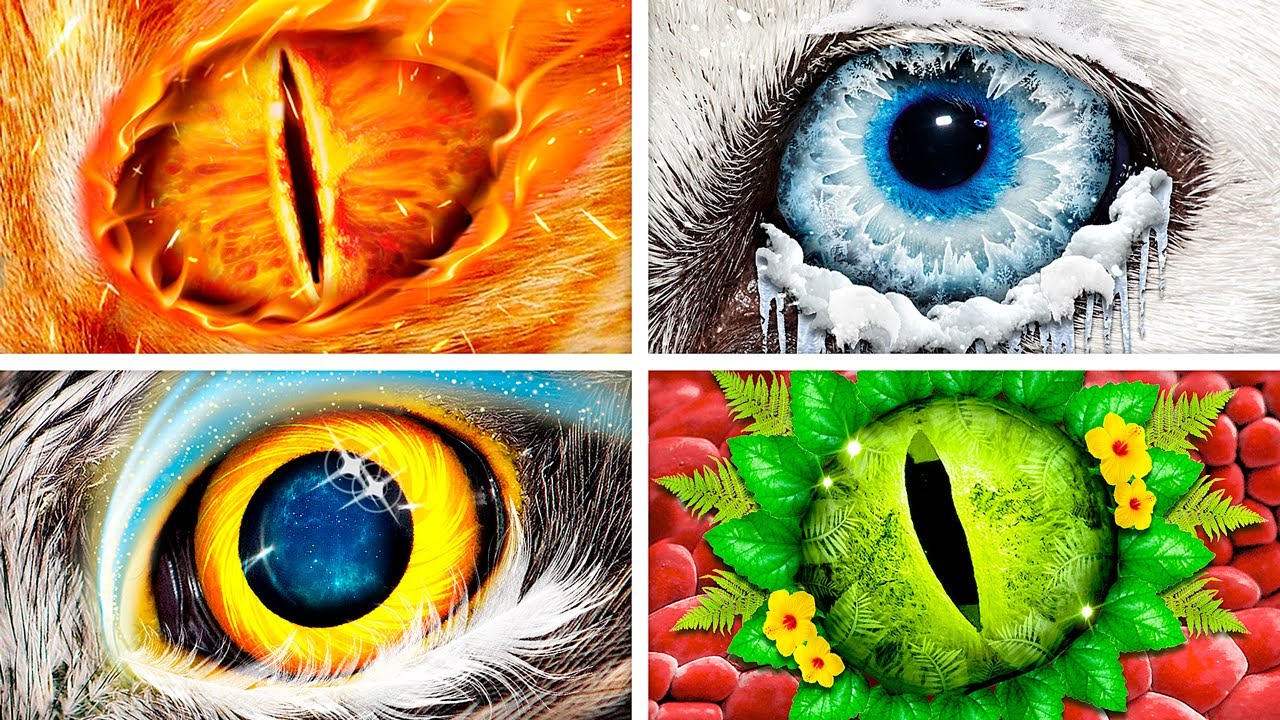 Four Elements: Fire, Water, Air And Earth! Secret Room For 4 Elements ...