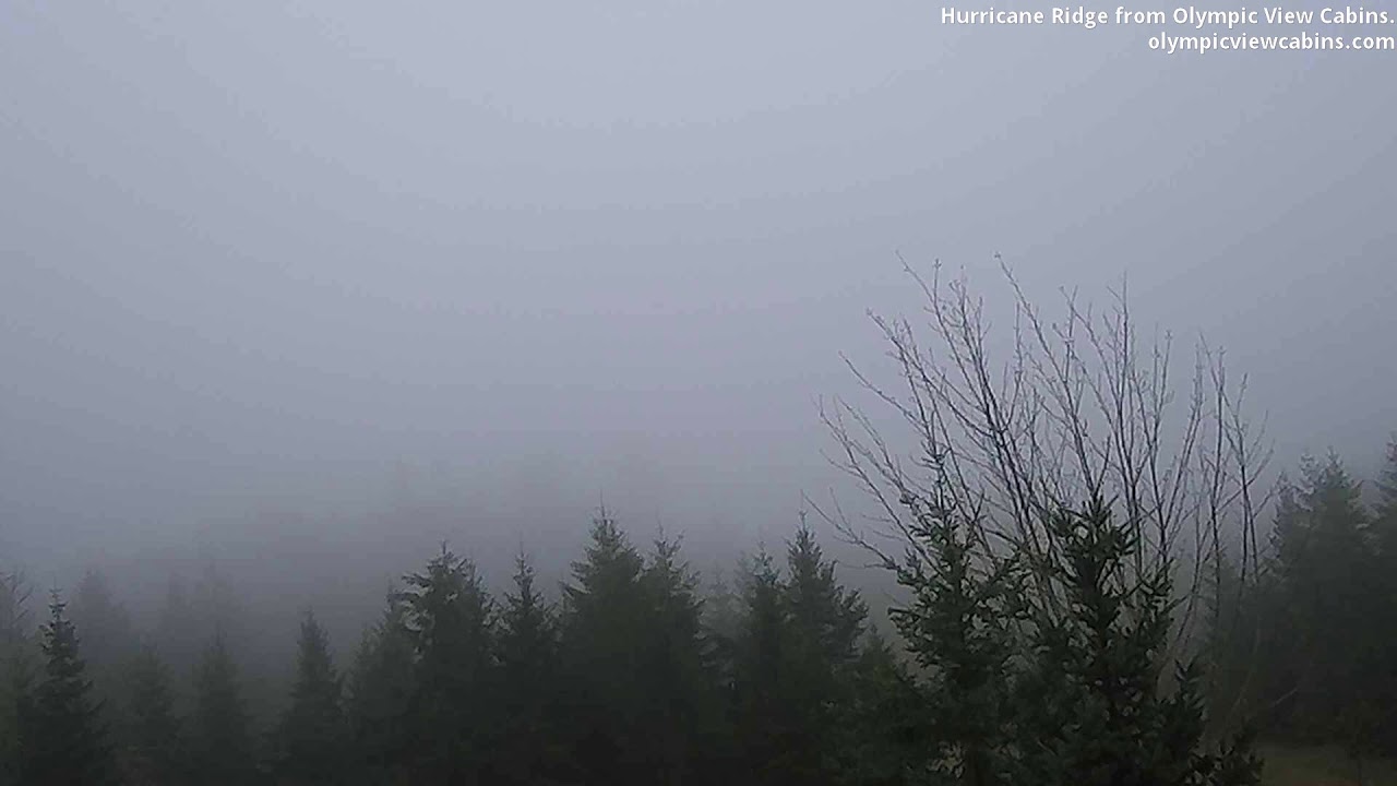 2020-04-22 Olympic View Cabins Hurricane Ridge Cam - YouTube