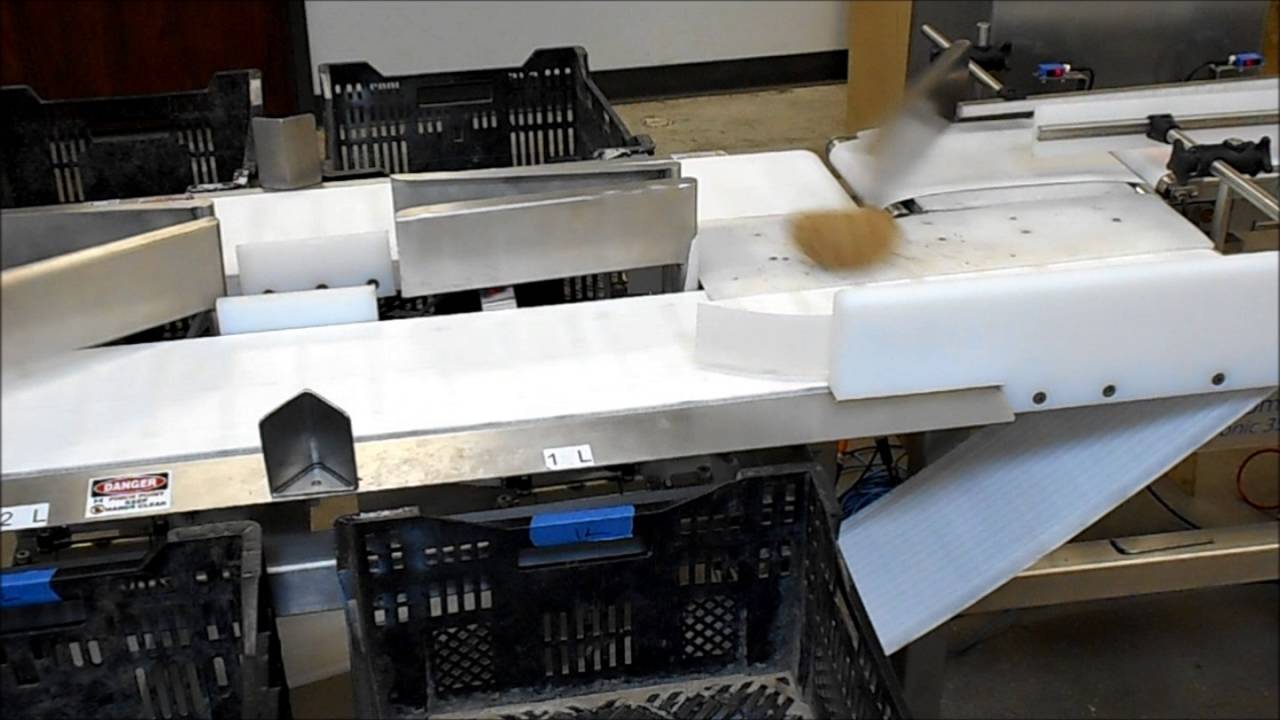 8 Lane Potato Sorter - YouTube