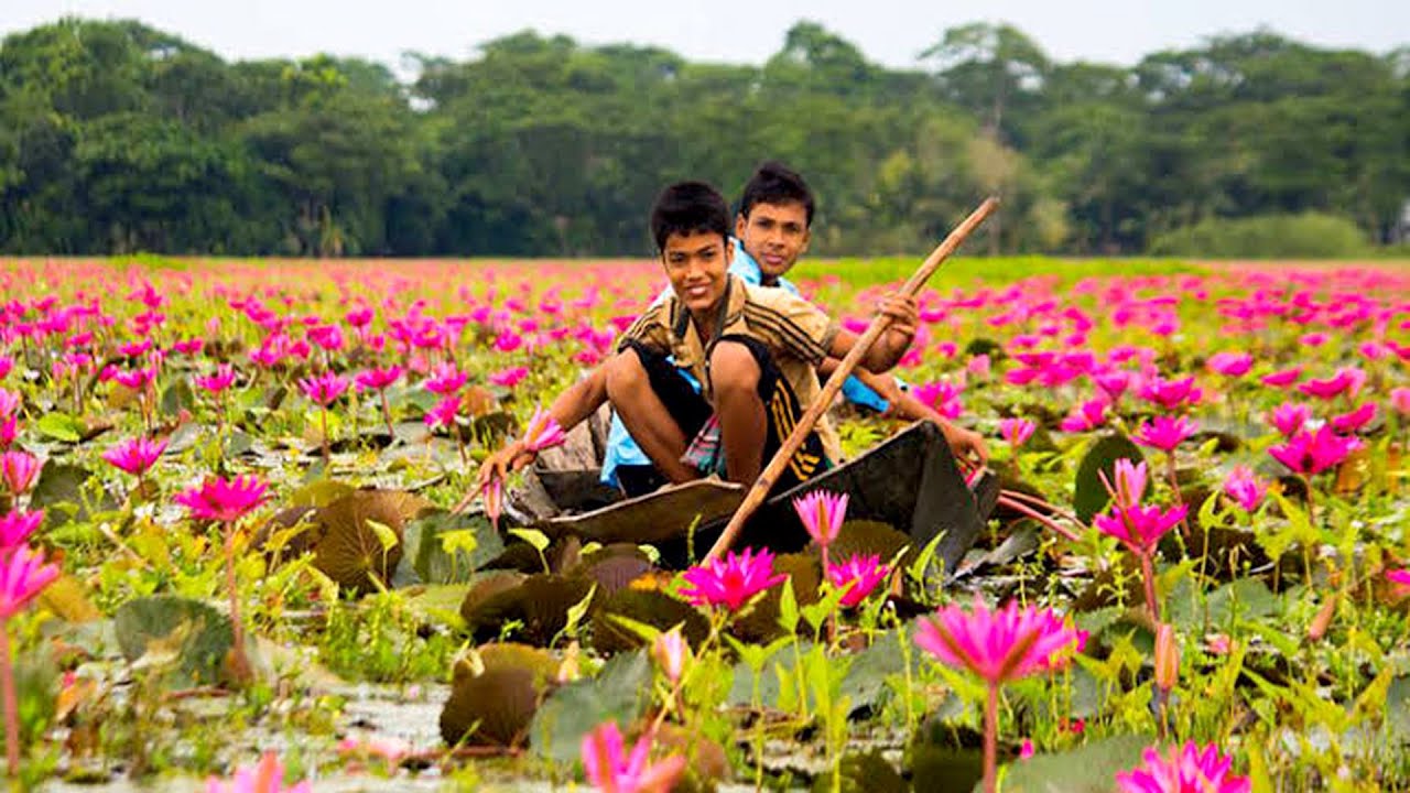 Shapla Bill Narayanganj - YouTube