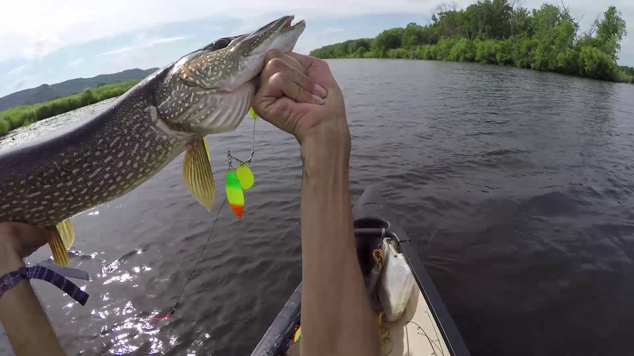 Old Town Canoe Trip 4: A Clear Lake Day 2, SlopMasters & ANGRY PIKE ...