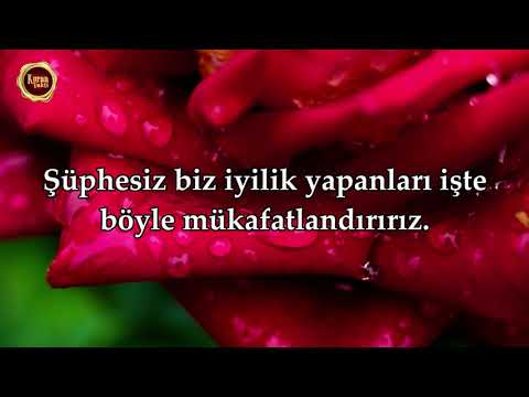 O gün yalanlayanların vay haline! Mürselat Suresi - Sherif Mostafa