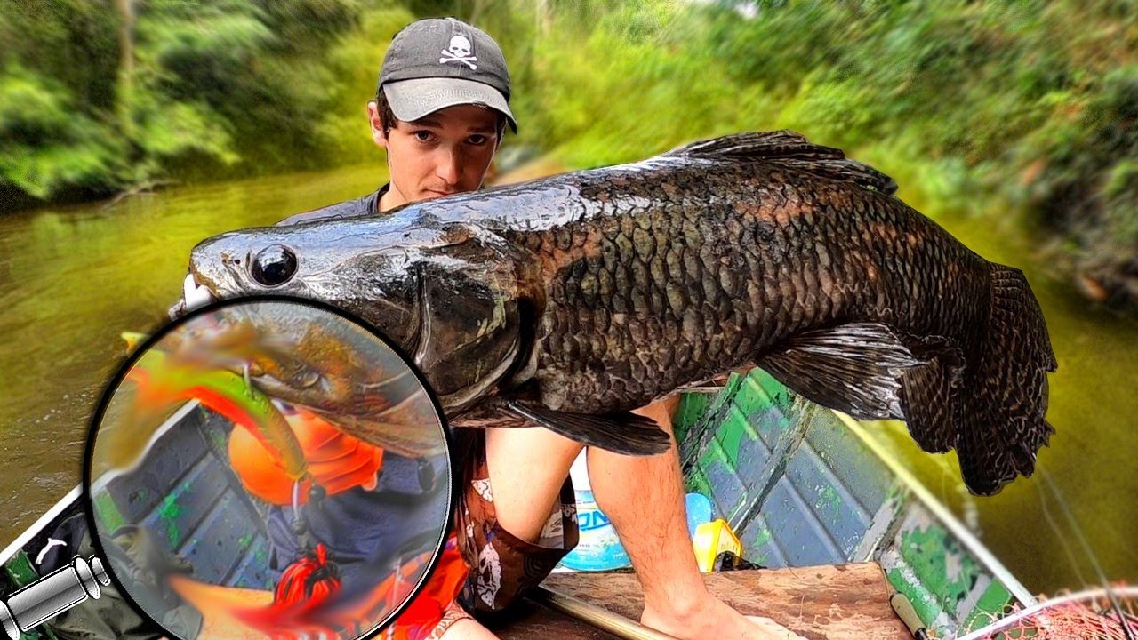 LE MEILLEUR LEURRE À AÏMARA !! Spinner Michel Brunard - BONUS 2/2 - YouTube