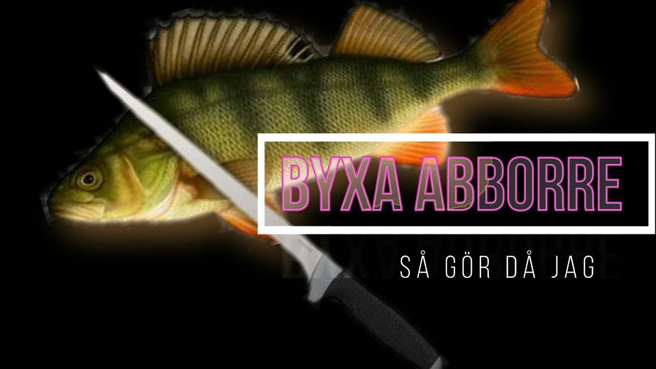 BYXA ABBORRE -så gör då jag - filea abborre FISKEKANALEN (eng sub)how ...