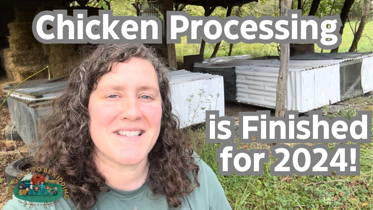 We finished processing chickens for 2024! - YouTube
