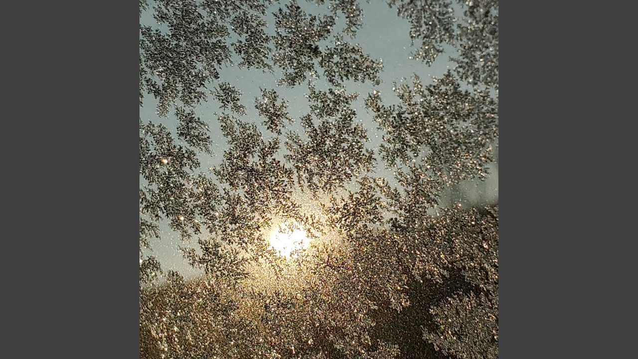 Yellow Creature - YouTube