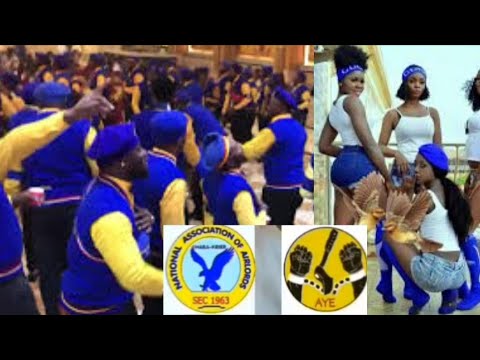 One De@d as Eiye Blue Queens Send Strong Message to Eiye Men,Black Axe ...