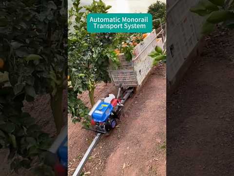 Farm monorail transport system #China #chinatechnology #monorail #farming