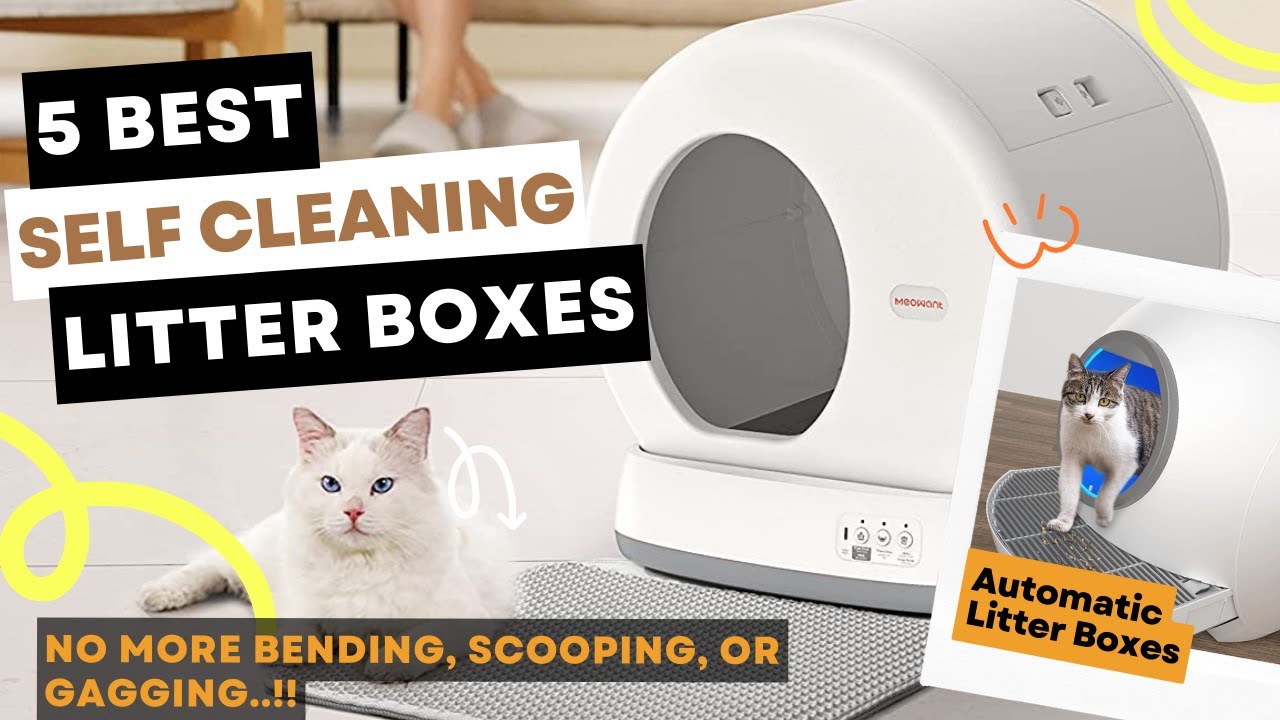 Best Self Cleaning Litter Boxes | Automatic Litter Boxes 2023 - YouTube