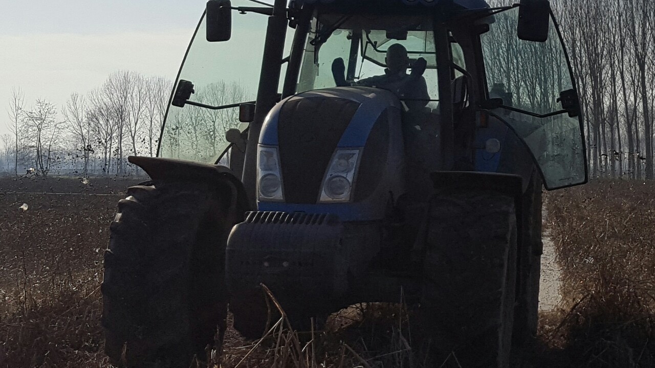 Landini 165 Landpower | Spargimento liquame bovino. - YouTube