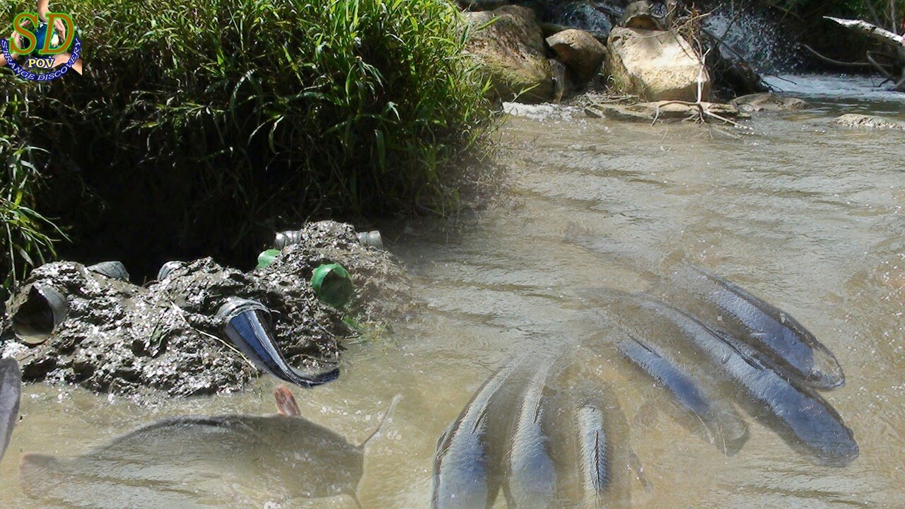 Deep Hole Fishing In Cambodia || The Easy Way To Making Hole For ...