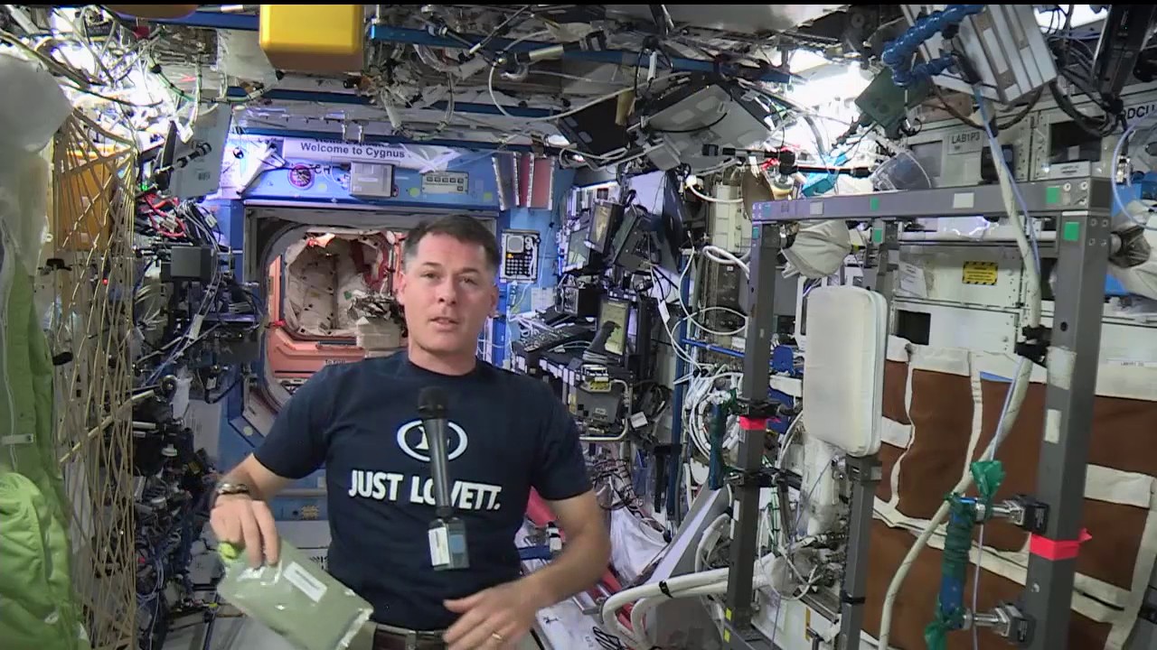 Space Station Commander Discusses Life in Space with Students from ...