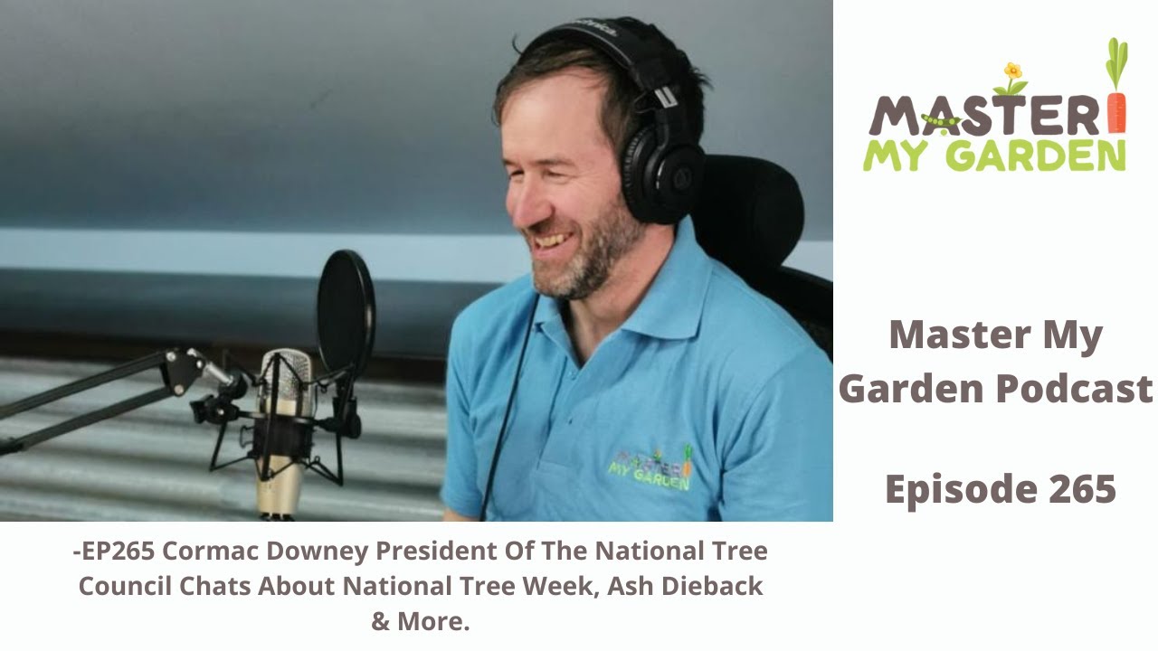 -EP265 Cormac Downey President Of The National Tree Council Chats About ...
