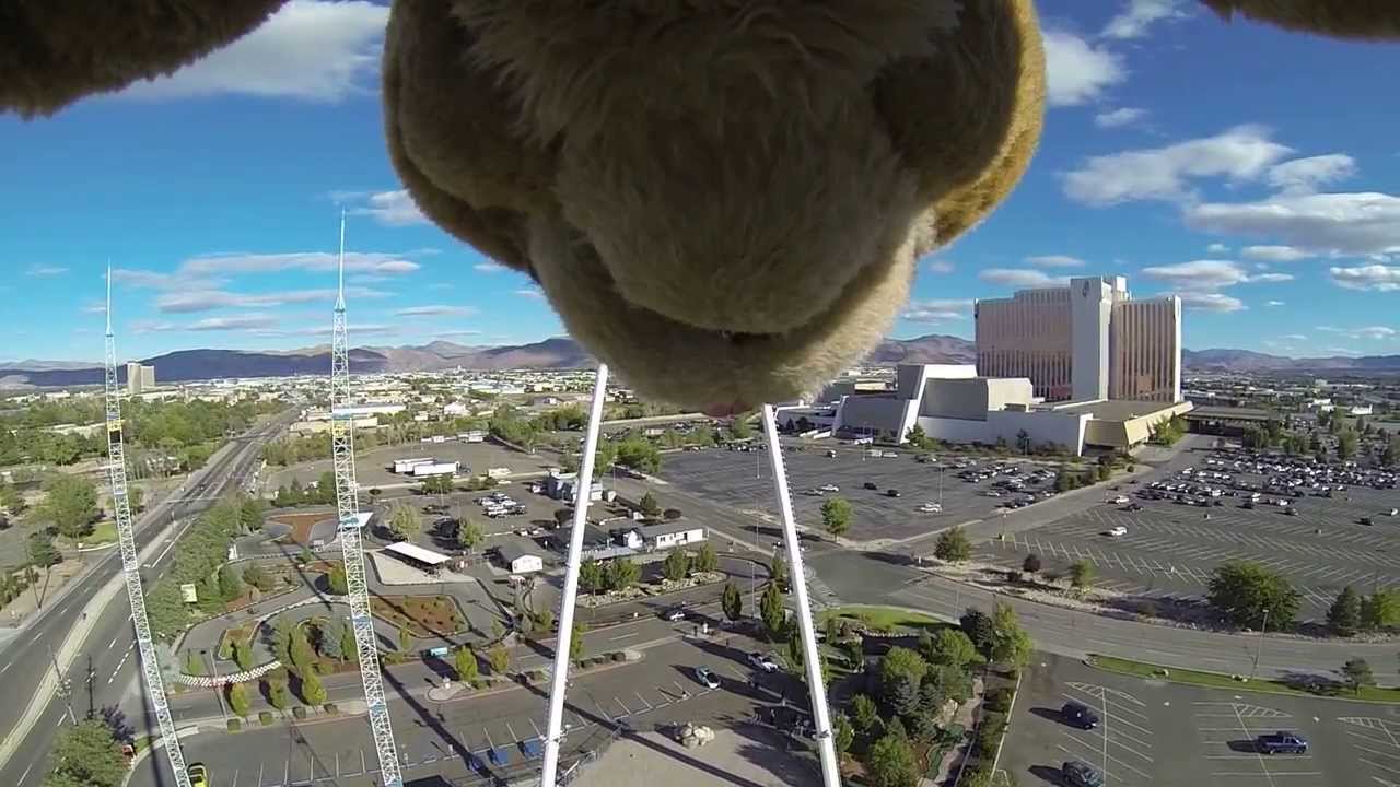 BLFC 2014 promo ultimate rush video - YouTube