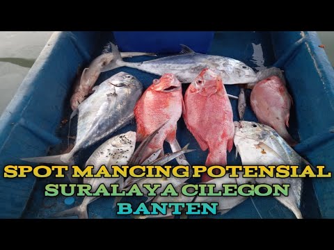 Explorer fishing Perairan Suralaya Spot Kuwe Gerong || Pertarungan ...