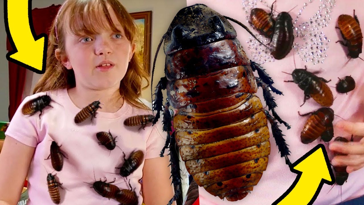 This Strange Girl Collects Cockroaches | My Kid's Obsession - YouTube