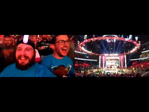 Brock Lesnar 2016 Royal Rumble entrance