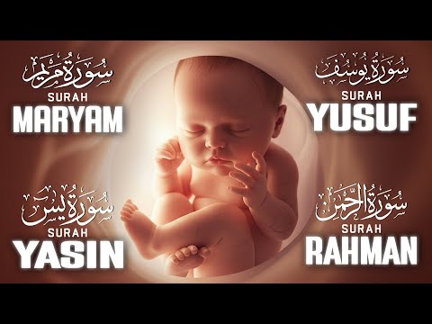 Powerful Quran For Pregnancy | Surah Yusuf, Maryam, Yasin, Ar-Rahman | Habibullah TV