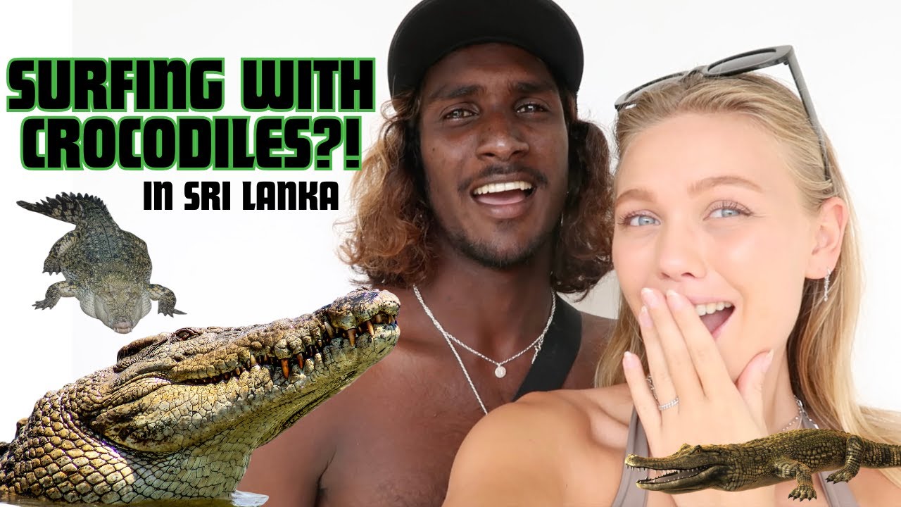 Surfing with CROCODILES in SRI LANKA!? Wild crocodiles in the ocean ...