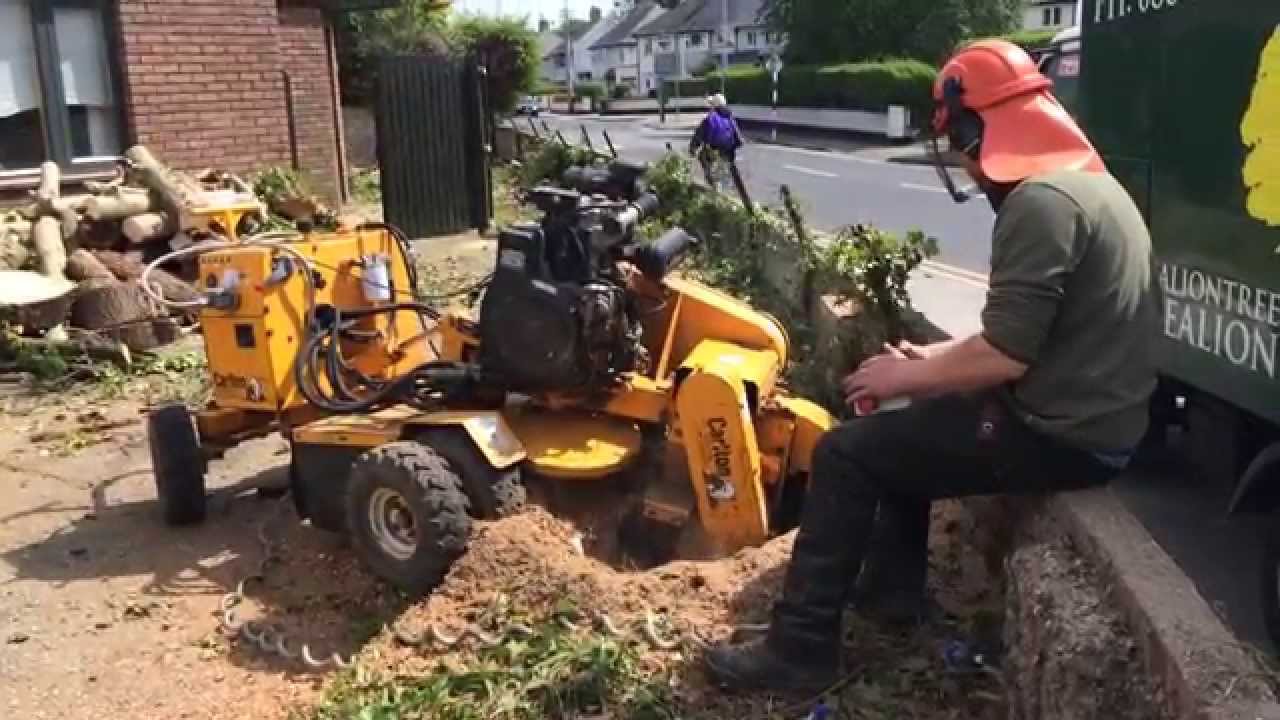 Tree Stump Grinder to Large roots - YouTube