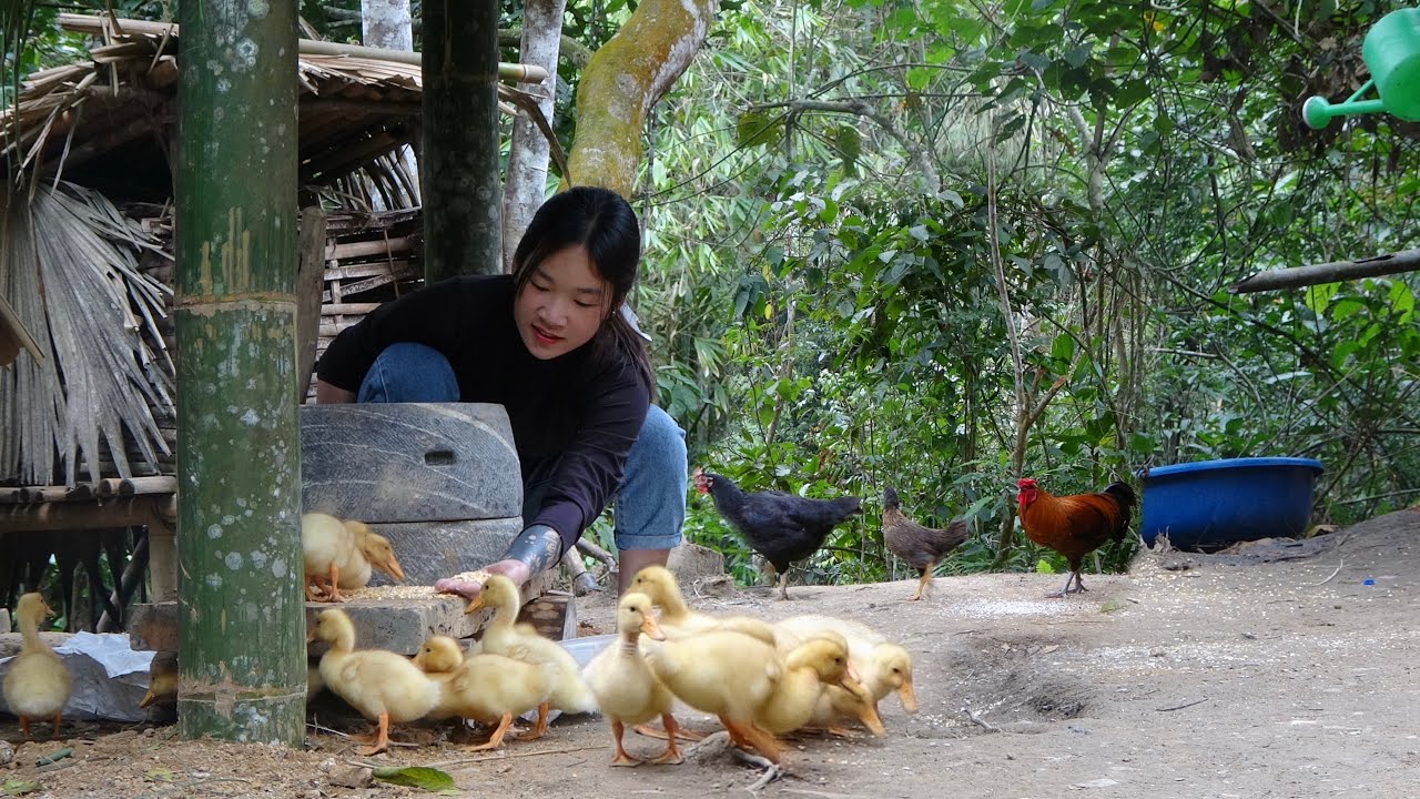 Build a farm with a full garden of vegetables and animals - Grow Gourds ...