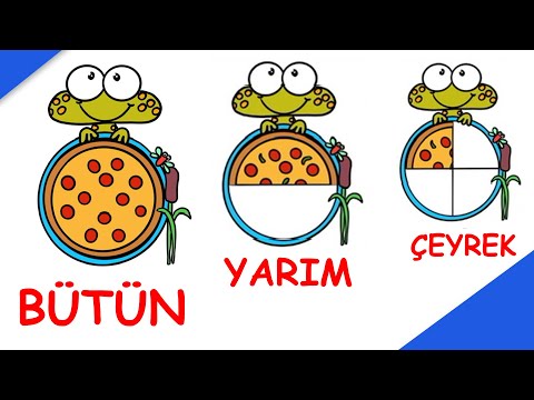 2.Sınıf Kesirler  Konu Anlatımı