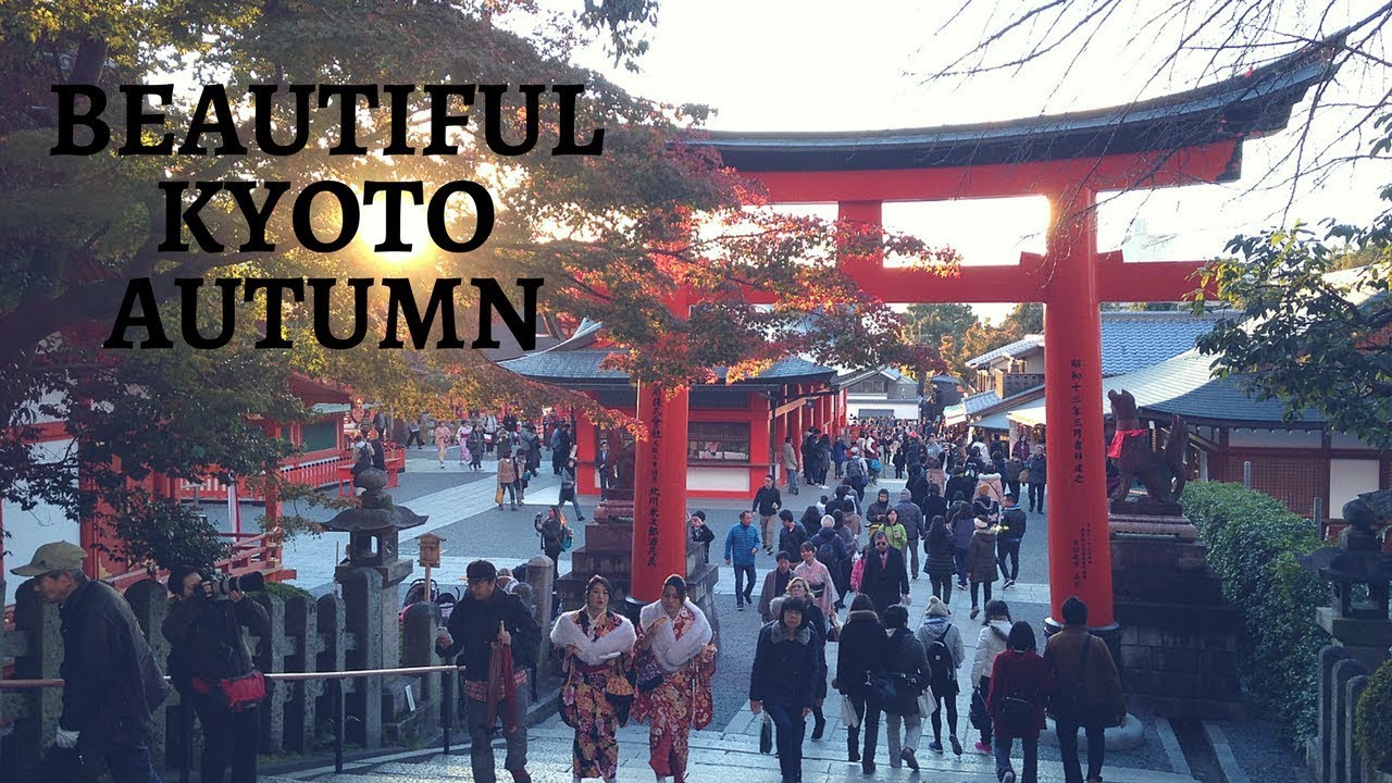 Beautiful Kyoto in Autumn - YouTube
