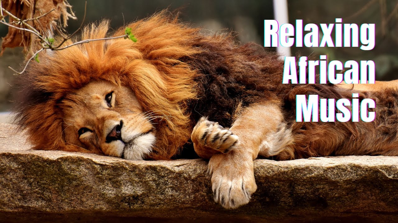African Music Relaxing Music for Sleep : Meditation and Deep Relaxation ...